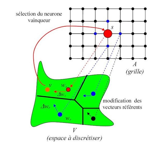 Cartes topologiques de Kohonen | Meritis