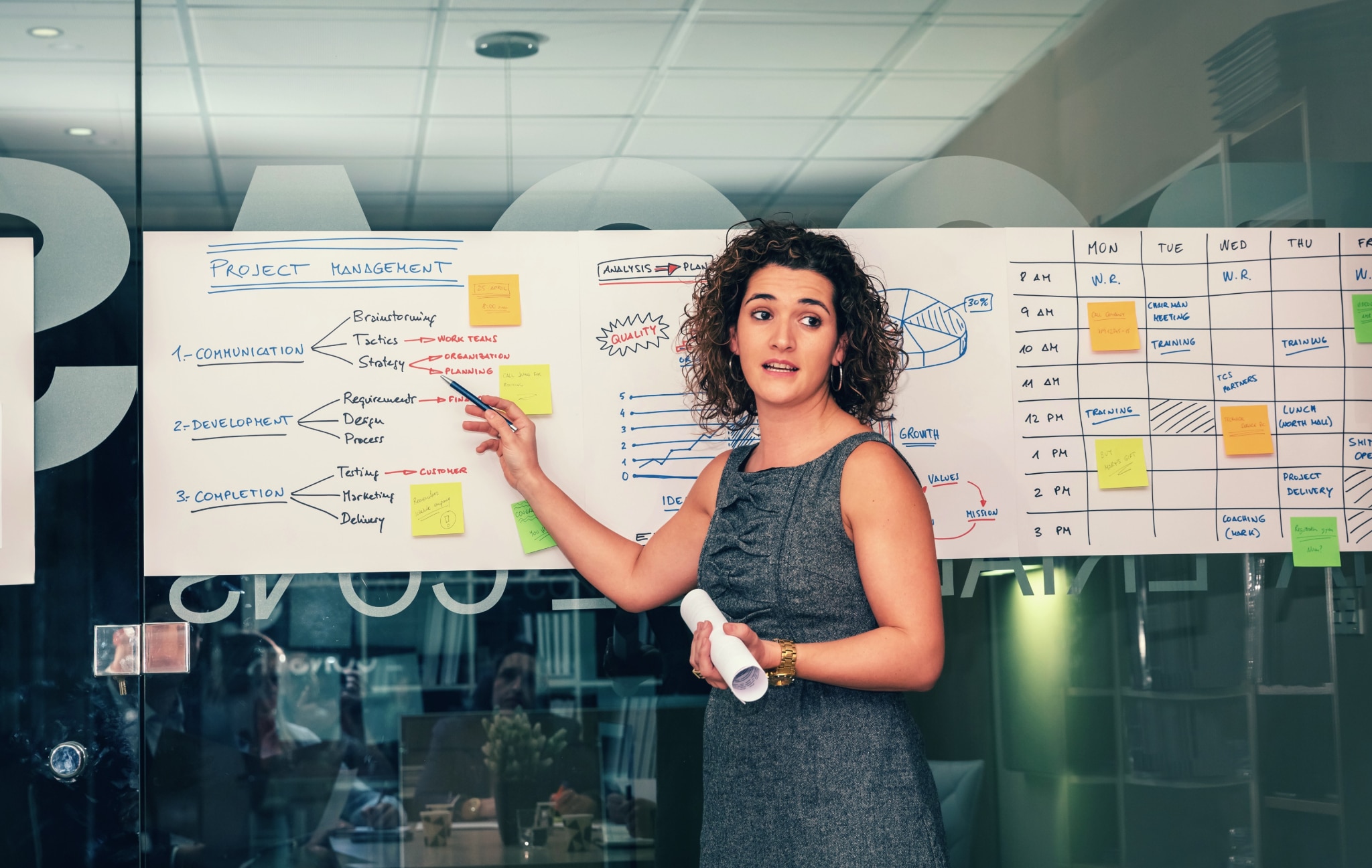 Meritis | Pilotage de projet et programme